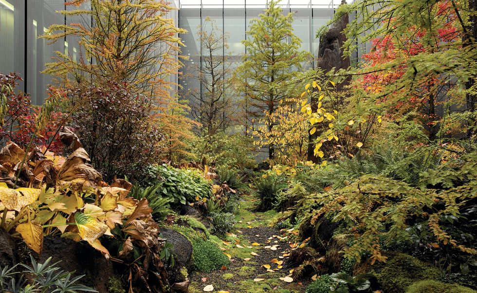 Models without numbers: The landscapes of Günther Vogt | Landscape ...