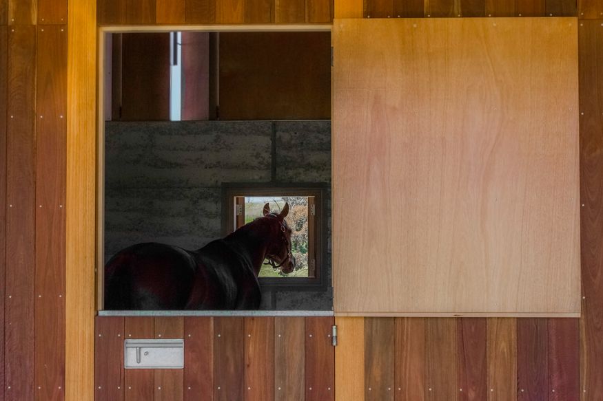 Best in show: Intergrain | ArchitectureAU