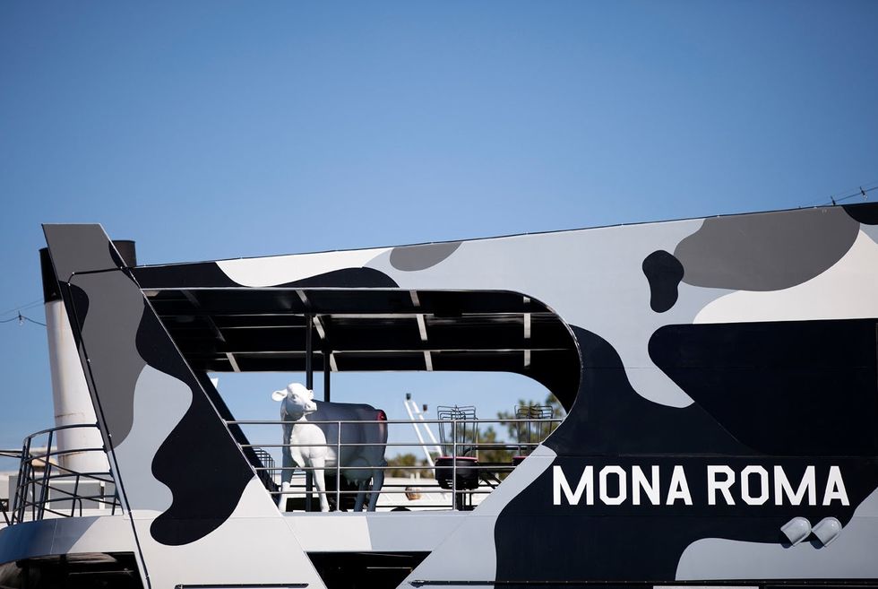 MR-I: One cool cat | ArchitectureAu