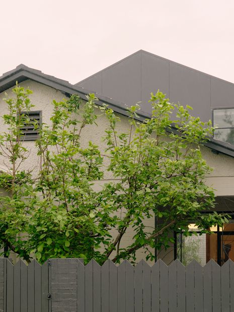 Elwood by Agius Scorpo Architects | ArchitectureAu