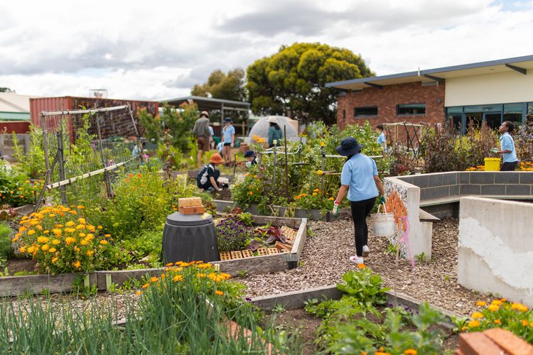 Psychedelics and sewage: Kirsha Kaechele on the ingredients of an ...