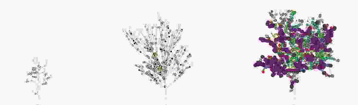 Tree designers and bird clients | Landscape Australia