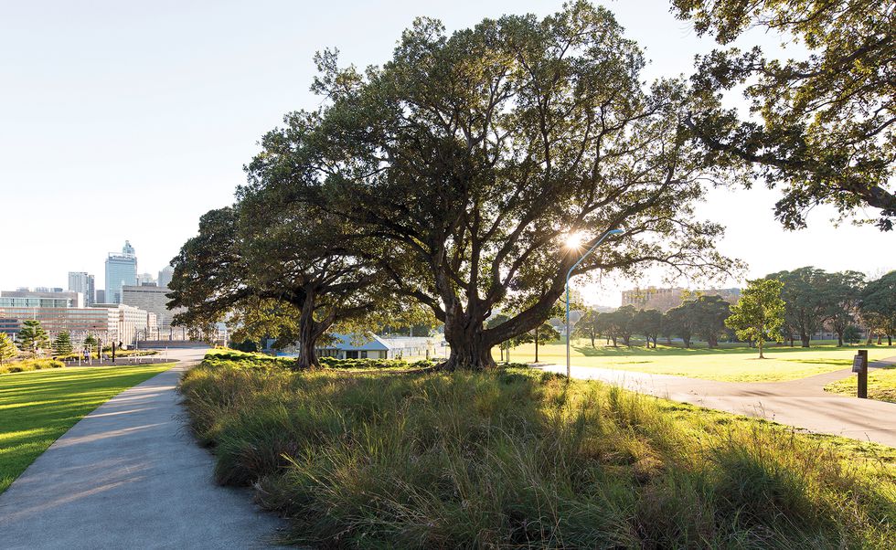 Evidencing the benefits of green space | Landscape Australia