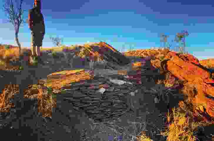 Site lines: Tricky Tracks | Landscape Australia