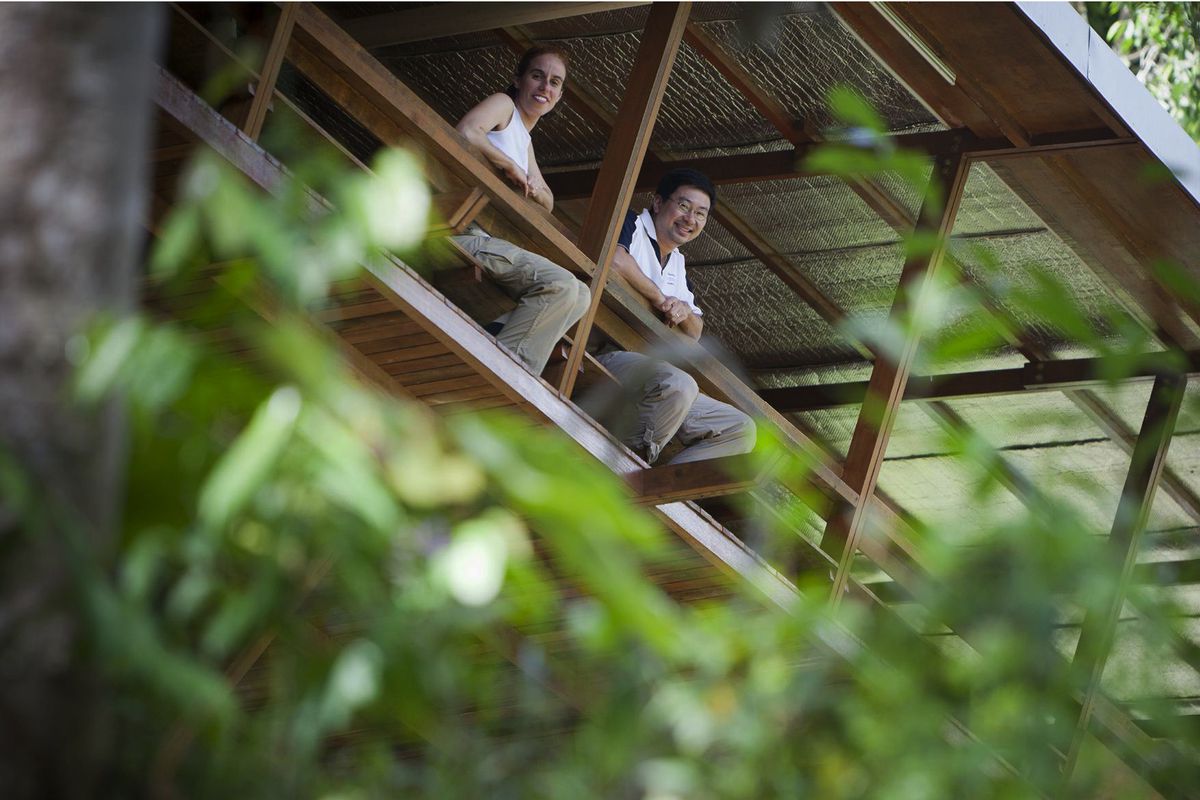 Australians win at AR House Awards (UK) | ArchitectureAu