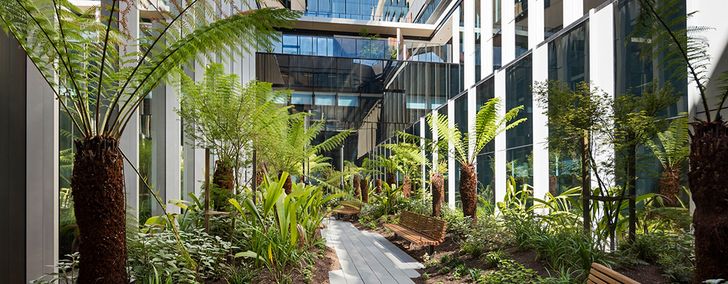 Nightingale Housing wins Victorian Premier’s Sustainability Award ...