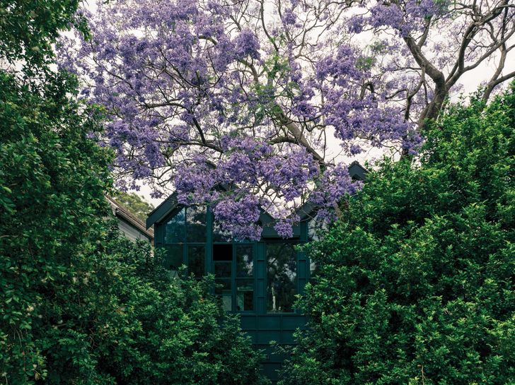 Private sanctuary, public statement: The civic role of colour in ...