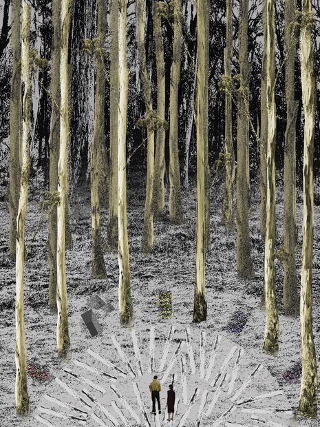 The ripple effects of architecture | ArchitectureAu