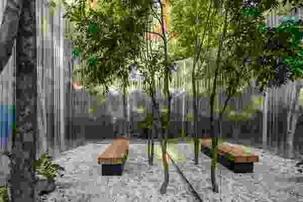 Wave design wins St Kilda jetty ideas competition | ArchitectureAU