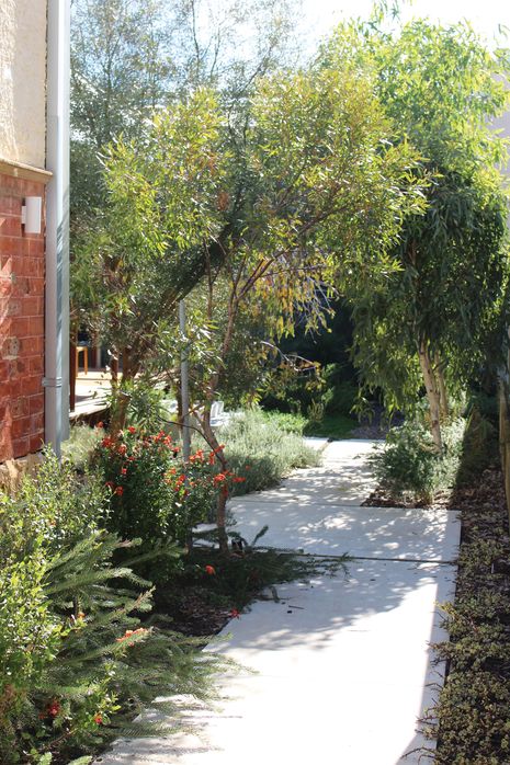 Social space: Bulwer Avenue Garden | Landscape Australia