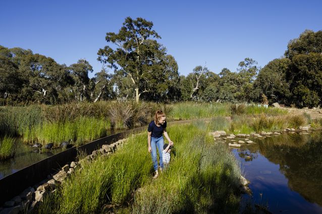 Winners announced: 2018 SA Landscape Architecture Awards | Landscape ...