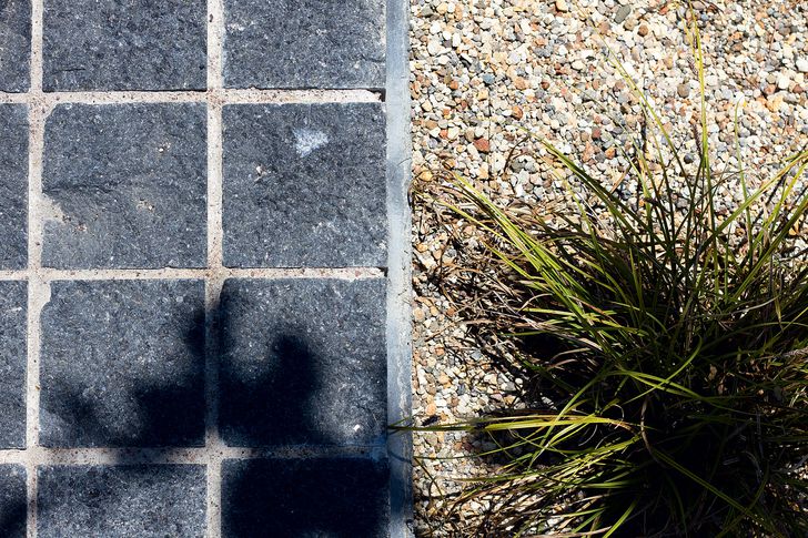 Daldy Street Park – Auckland | ArchitectureAu