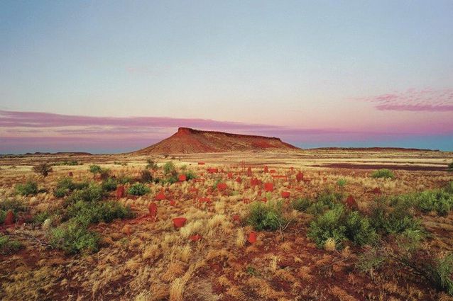 MCA Collection: Perspectives on place | Landscape Australia