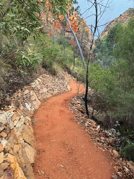 Site lines: Tricky Tracks | Landscape Australia