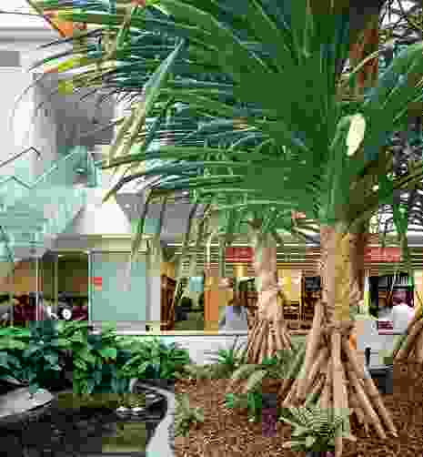 Brisbane Ecosciences Precinct and the University of Queensland’s ...