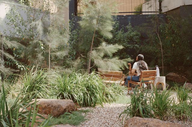 2025 National Landscape Architecture Awards: Award of Excellence for ...