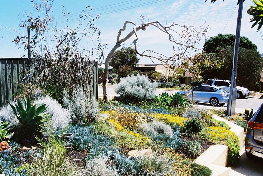 Home ground: Liam Mouritz | Landscape Australia