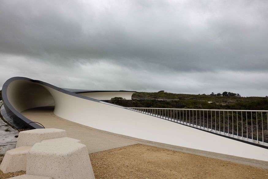 Whale-inspired viewing platform opens on Victoria’s Great Ocean Road ...