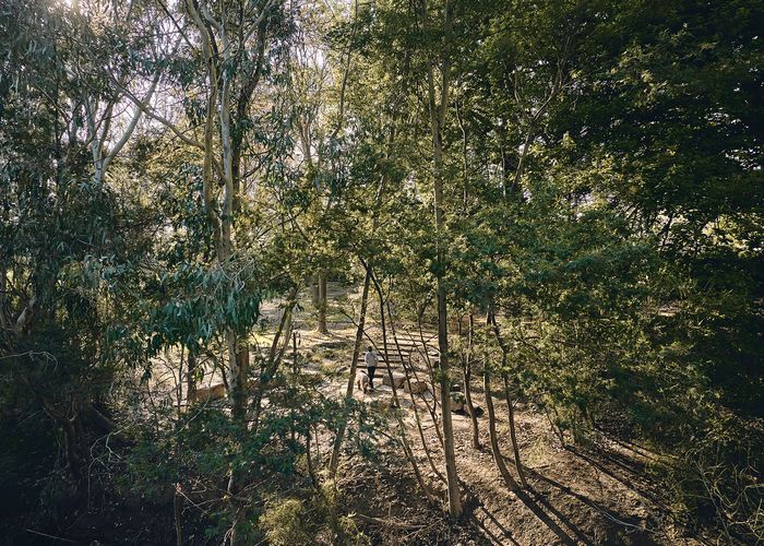 Considered restraint: Yaluk Langa | Landscape Australia