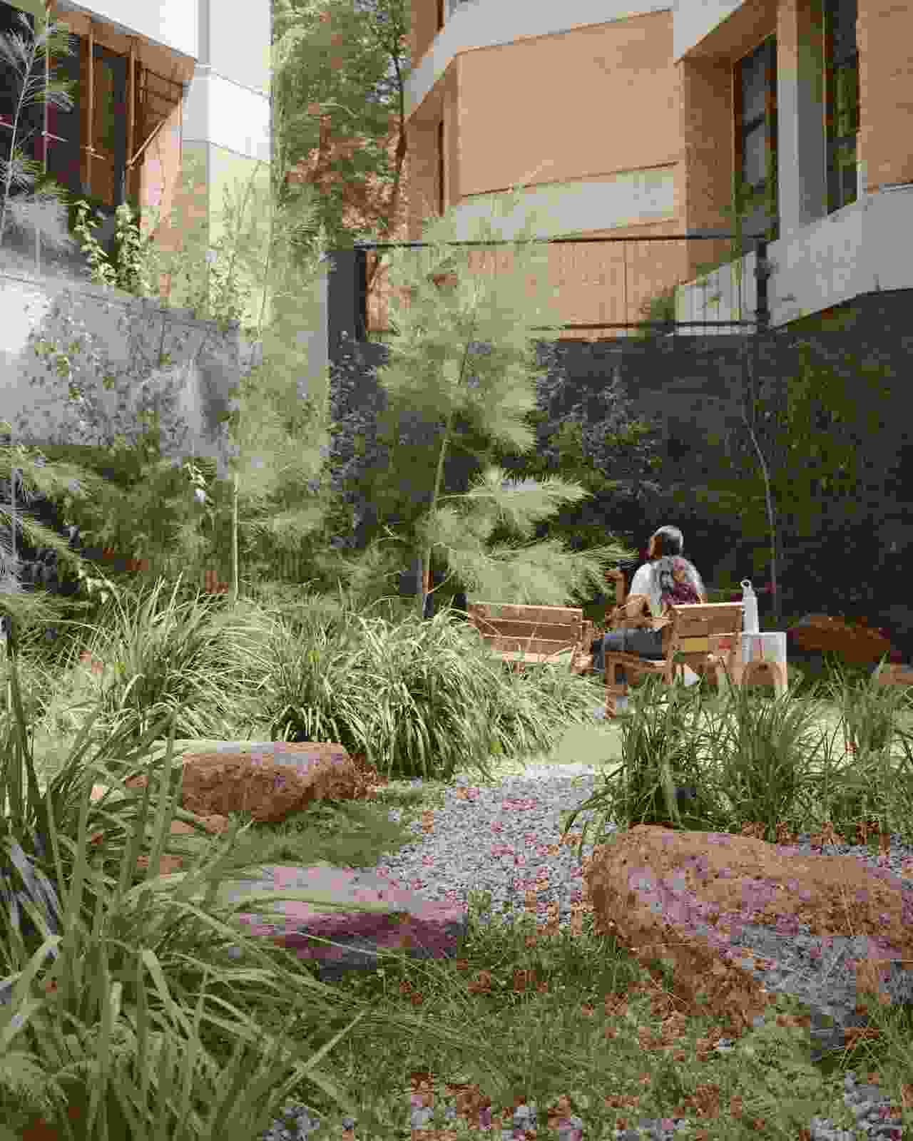 2025 National Landscape Architecture Awards: Award of Excellence for ...