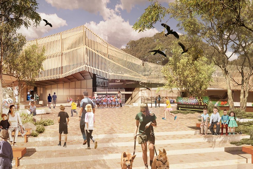 Hassell, Iredale Pedersen Hook design Perth Zoo’s future | ArchitectureAu