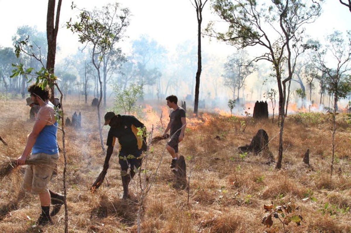 Indigenous knowledge and the persistence of the ‘wilderness’ myth ...