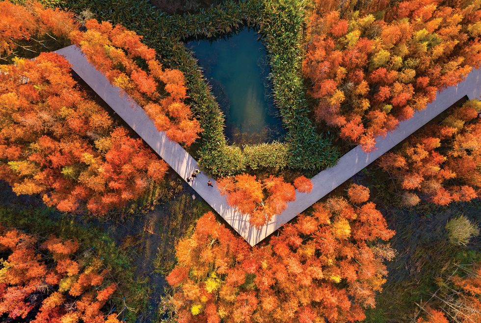 The Authorship Issue | Landscape Australia