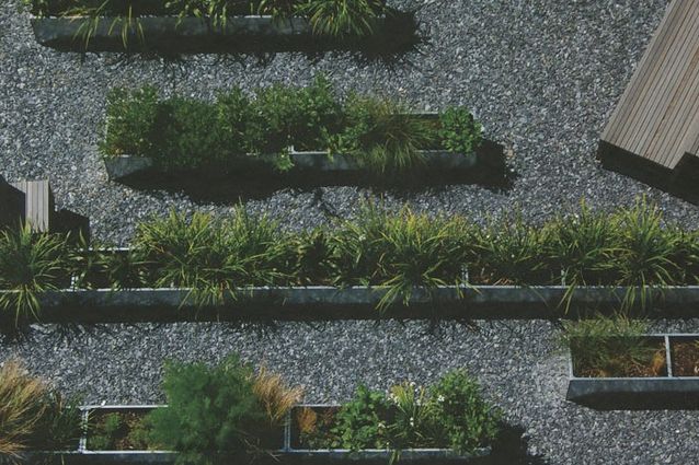 Artifice: Dermot Foley Landscape Architects | ArchitectureAu