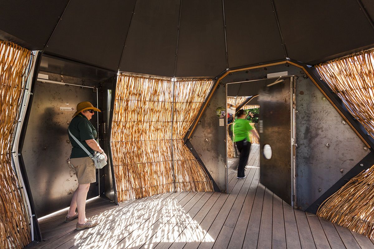 Lemur Island | ArchitectureAu