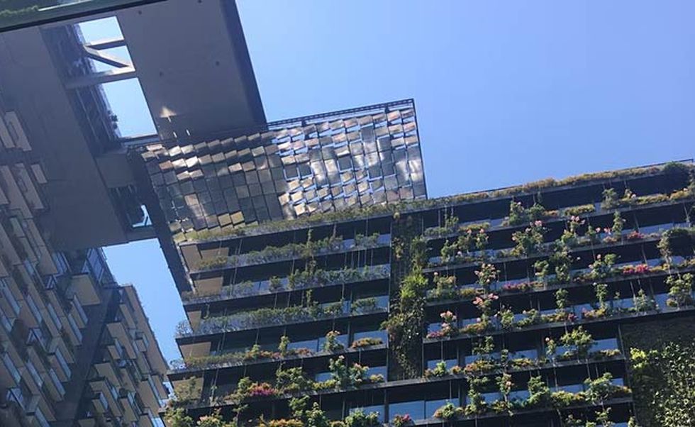 Chippendale Walk | ArchitectureAU