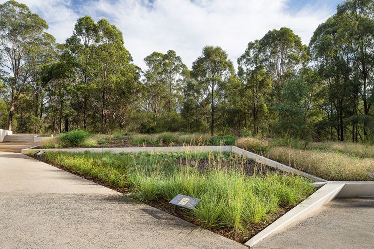 Banking biodiversity: The Australian Plantbank Garden | ArchitectureAu