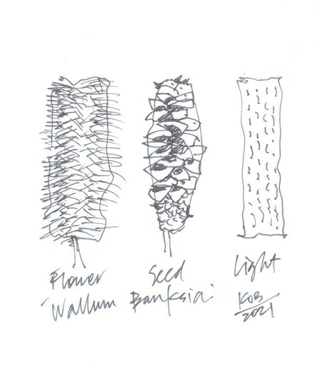 Wallum banksia sculptures to light up Gold Coast | ArchitectureAu