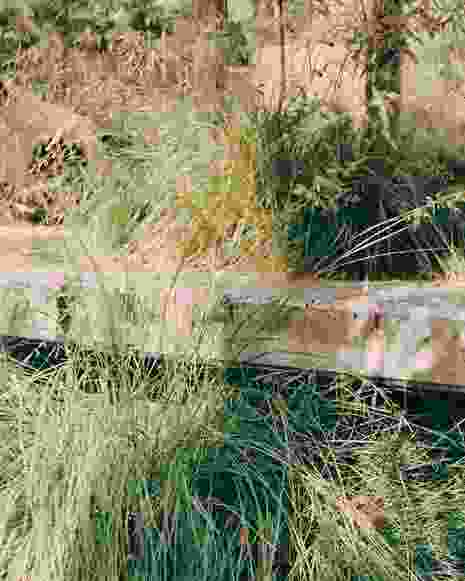 Ground-up transformation: Decolonizing the garden | Landscape Australia