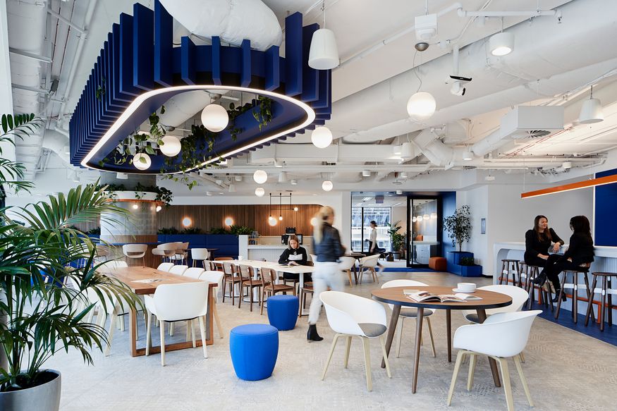 Diversity in thinking and culture: IDP Education office | ArchitectureAu