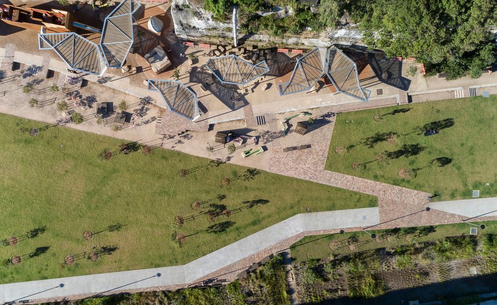 Harold Park | Landscape Australia