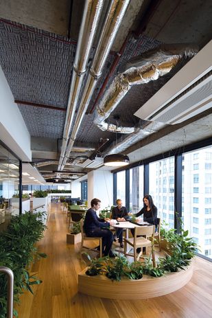 AECOM, Sydney | ArchitectureAU