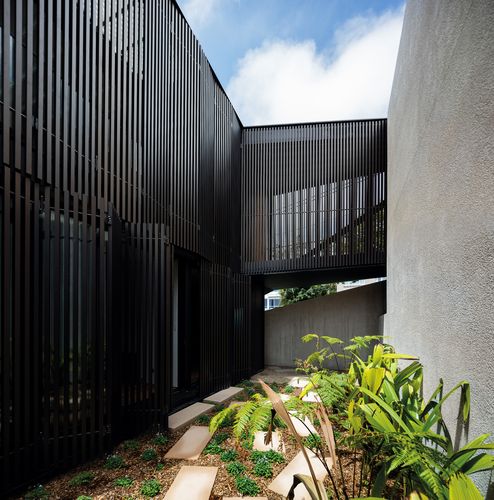 Privacy and openness: Coogee House | ArchitectureAu