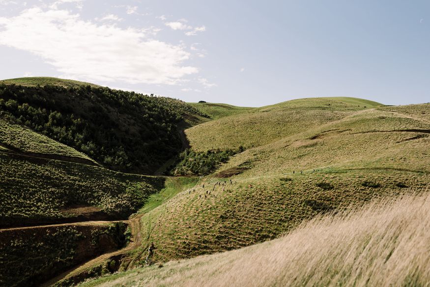 Regenerative action: Degraded farm to future forest | Landscape Australia