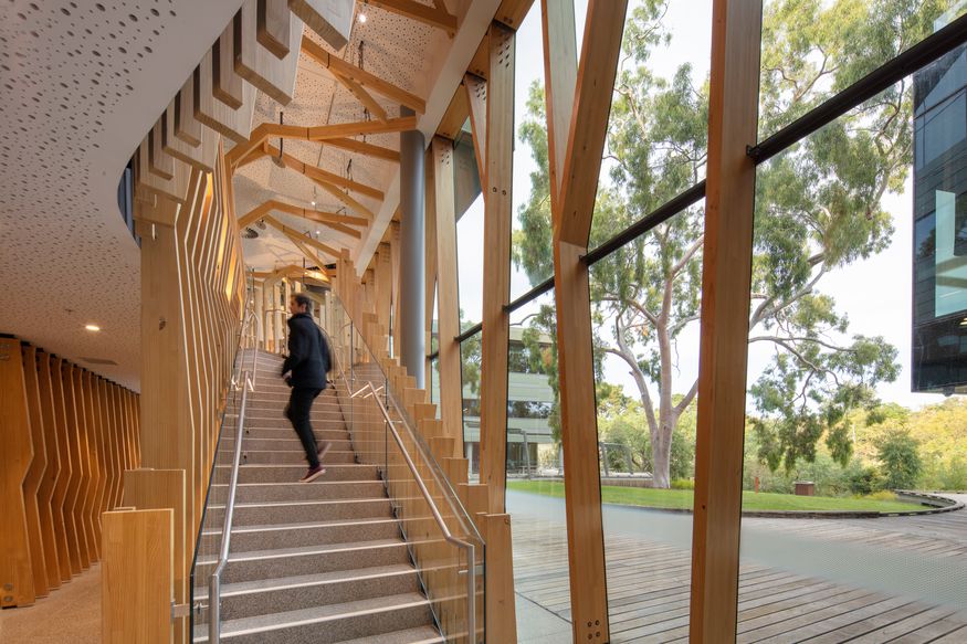 Architecture as medicine: How design is reshaping the language of ...