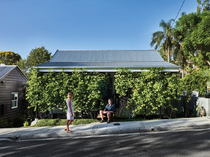 Full bloom: Terrarium House | ArchitectureAu