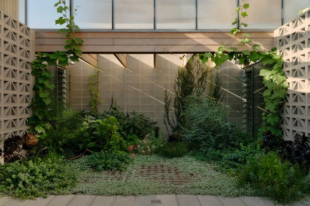 Centres of attention: Five houses with courtyards that anchor daily ...