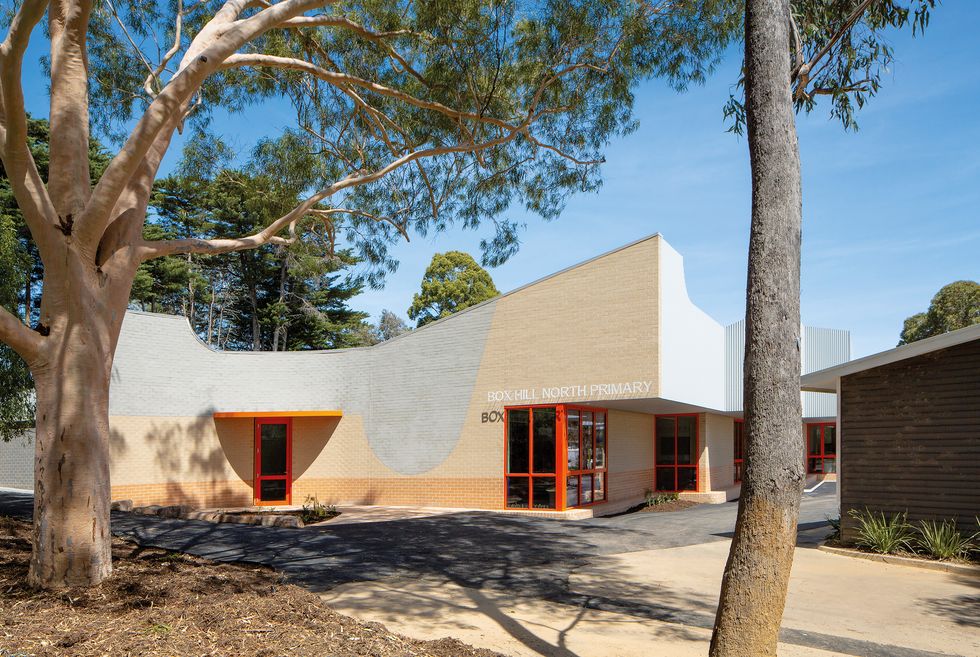 Box Hill North Primary School by Sibling Architecture | ArchitectureAu