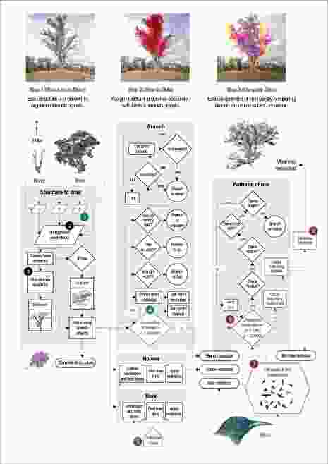 Tree designers and bird clients | Landscape Australia