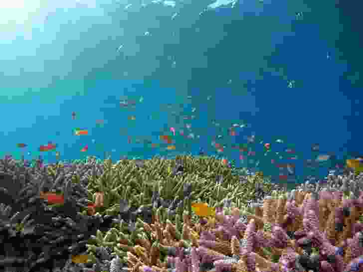 Nature is complex – but we need to find ways to measure it | Landscape ...