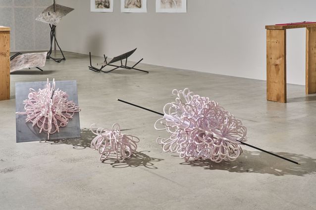 Craft Victoria’s 2026 Fresh exhibition and InteriorsAu prize winner ...