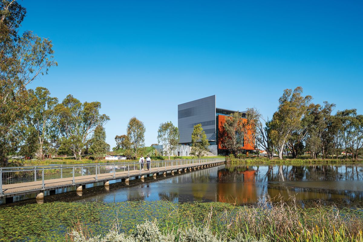 Bold confidence: Shepparton Art Museum | ArchitectureAu