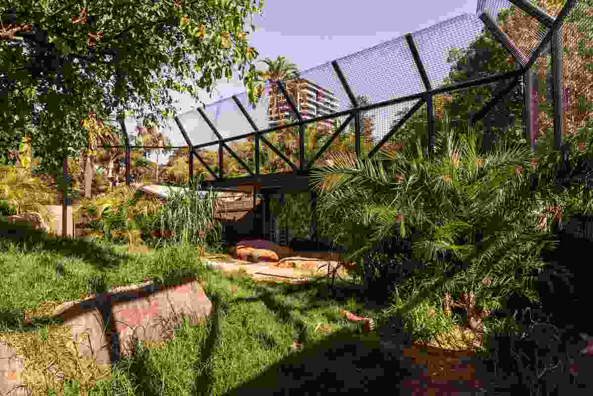 Perth Zoo Lion Exhibit – Stage A & B by McCorkell Constructions | ArchitectureAu