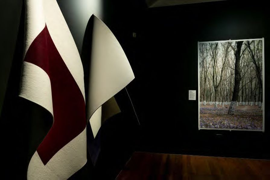 Northern Beaches Environmental Art and Design Prize exhibition ...