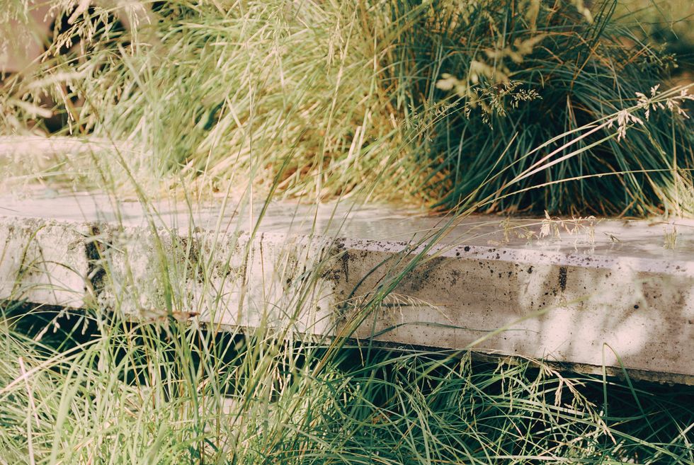 Ground-up transformation: Decolonizing the garden | Landscape Australia