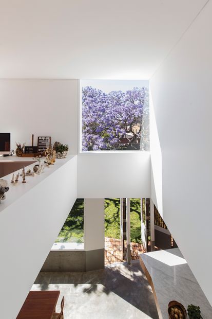 Essential extravagance: Jac House | ArchitectureAu